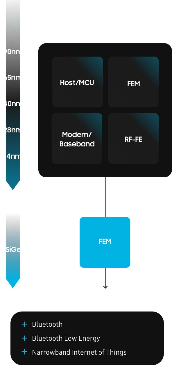 Application Specific Service - Connectivity | Foundry | Samsung ...