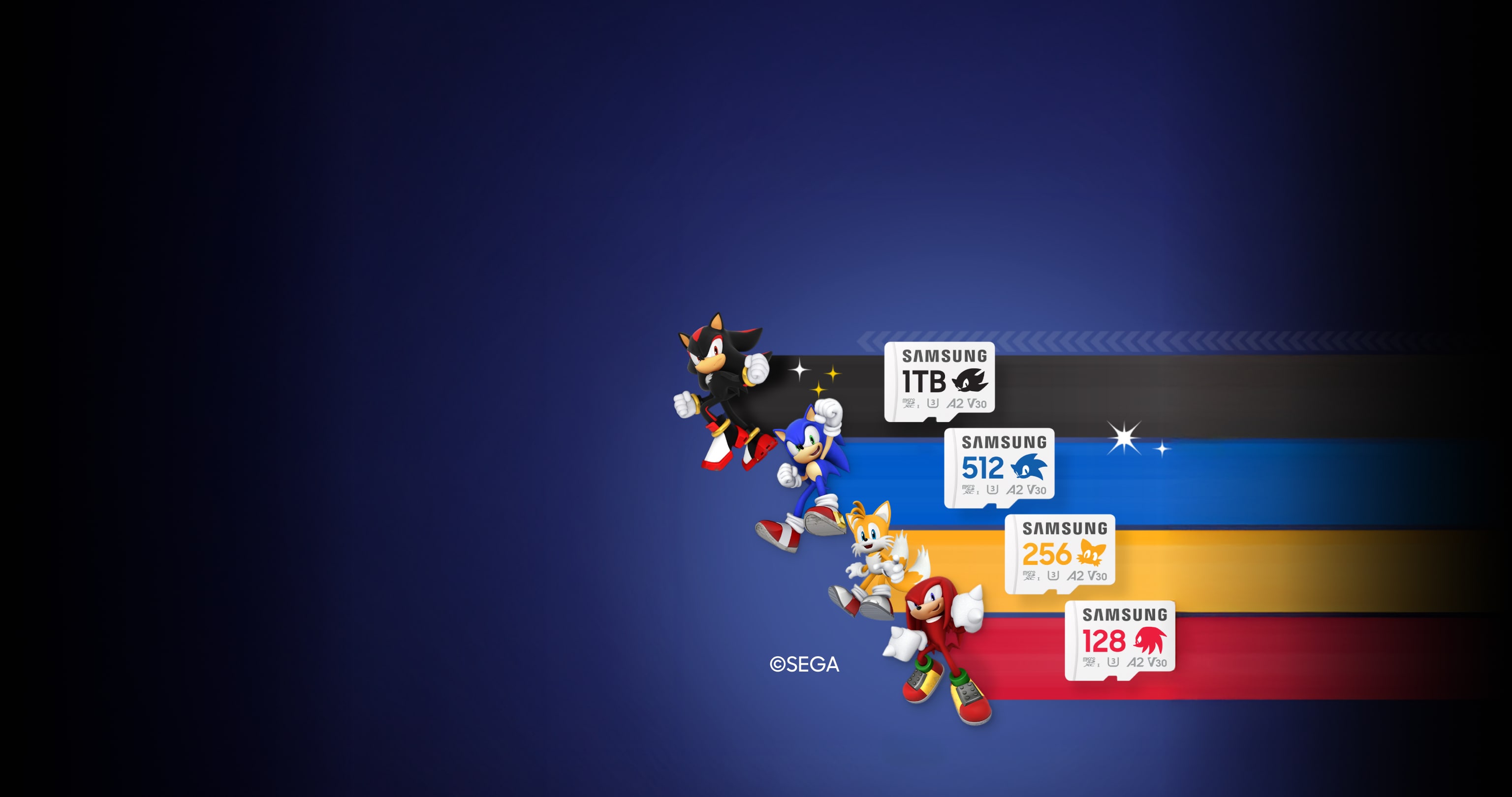 MicroSD Card Sonic the Hedgehog™ PRO Plus | Samsung Semiconductor Global