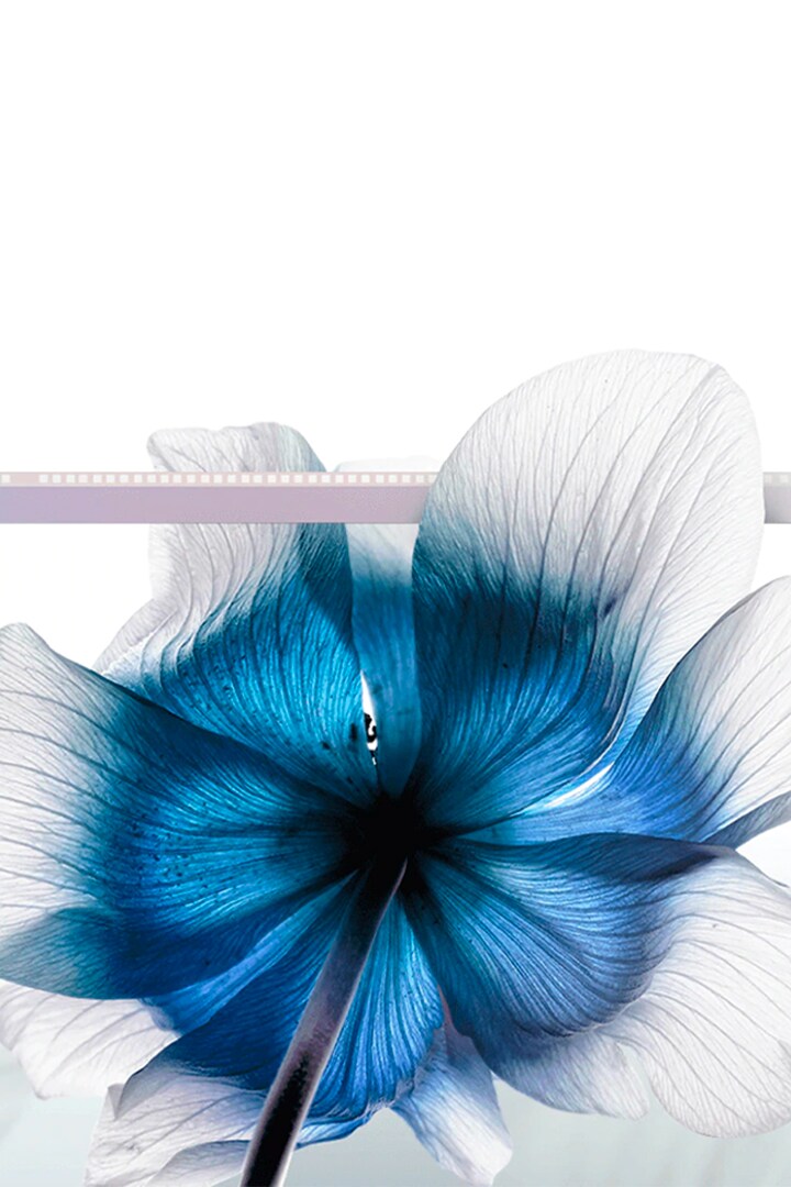 Mobile Image Sensor | ISOCELL | Samsung Semiconductor Global