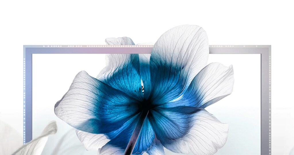 Mobile Image Sensor | ISOCELL | Samsung Semiconductor Global